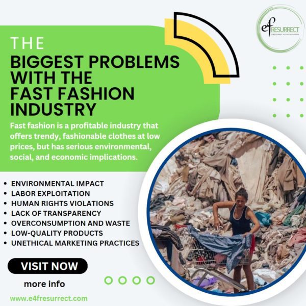 The biggest problems with the fast fashion industry - E4fresurrect